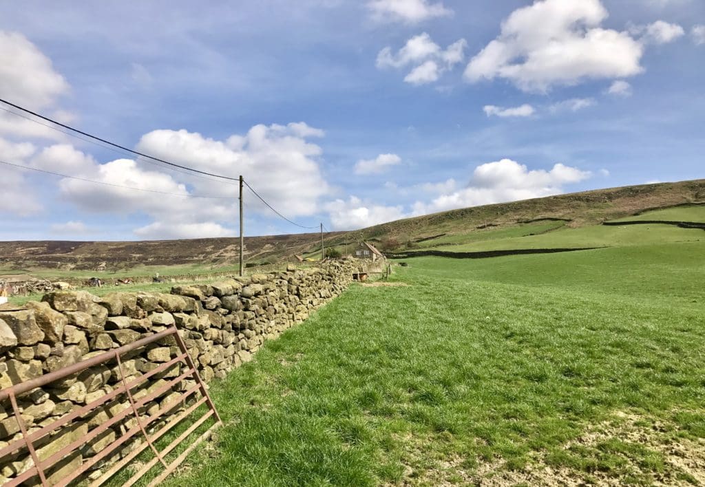 A Daffodil Walk in Farndale - Yorkshire Ramblings