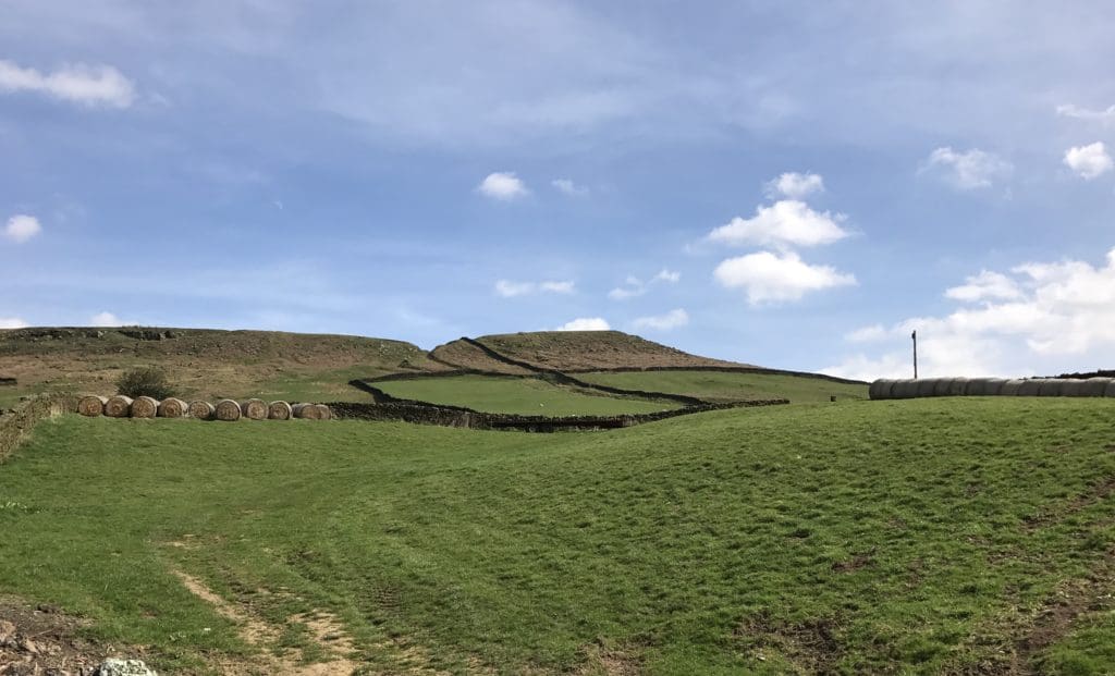 A Daffodil Walk in Farndale - Yorkshire Ramblings